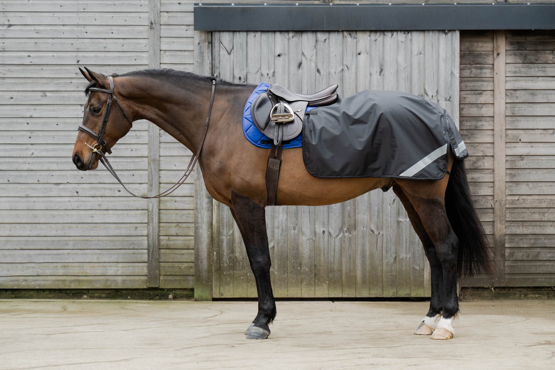 Dark Horse Lightweight Waterproof Quarter Sheet - Jet Black ...